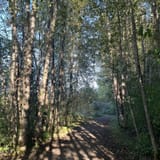 North Creek Trail, Washington - 557 Reviews, Map | AllTrails