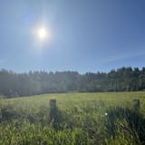 North Creek Trail, Washington - 557 Reviews, Map | AllTrails