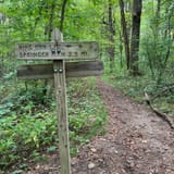 Appalachian Approach Trail to Springer Mountain, Georgia - 1,163 ...