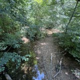 Pine Log Creek Trail, Georgia - 2,637 Reviews, Map | AllTrails