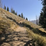 Baker Lake Trail, Idaho - 435 Reviews, Map | AllTrails