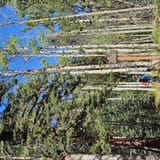 Barr Camp via Barr Trail, Colorado - 1,426 Reviews, Map | AllTrails