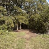Eagle Nature Trail at Central Texas College (CTC), Texas - 508 Reviews ...