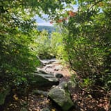 Wolf Rocks Trail, Pennsylvania - 1,561 Reviews, Map | AllTrails