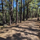 Mars Hill Trail Loop, Arizona - 2,030 Reviews, Map | AllTrails