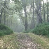 Pyramid State Park Loop Trail, Illinois - 235 Reviews, Map | AllTrails