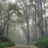 Pyramid State Park Loop Trail, Illinois - 235 Reviews, Map | AllTrails