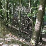 Pyramid State Park Loop Trail, Illinois - 235 Reviews, Map | AllTrails