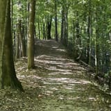 Pyramid State Park Loop Trail, Illinois - 235 Reviews, Map | AllTrails