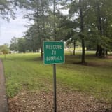 Longleaf Trace Trail, Mississippi - 306 Reviews, Map | AllTrails