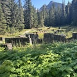 Abbott Ridge Trail, British Columbia, Canada - 776 Reviews, Map | AllTrails