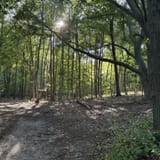 Hemlock Crossing Park, Michigan - 1,307 Reviews, Map | AllTrails
