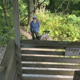 Parnell Tower Trail, Wisconsin - 956 Reviews, Map | AllTrails