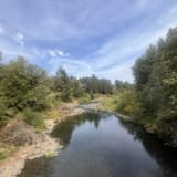 Wilson River Trail, Oregon - 822 Reviews, Map | AllTrails