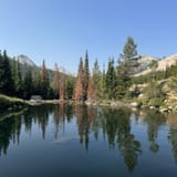 Alice-Toxaway and Edith Lake Loop, Idaho - 325 Reviews, Map | AllTrails