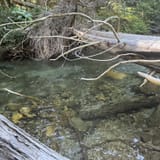 Upper Priest River Trail, Idaho - 86 Reviews, Map | AllTrails