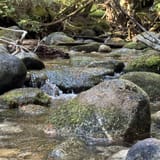 Upper Priest River Trail, Idaho - 86 Reviews, Map | AllTrails