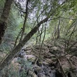 Cataract Falls Trail, California - 3,982 Reviews, Map | AllTrails