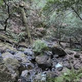 Cataract Falls Trail, California - 3,982 Reviews, Map | AllTrails