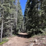 Nambe Lake Trail, New Mexico - 3,133 Reviews, Map | AllTrails
