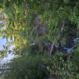 Congdon Park, Minnesota - 522 Reviews, Map | AllTrails