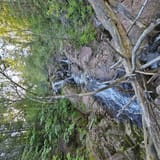 Congdon Park, Minnesota - 522 Reviews, Map | AllTrails