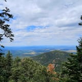 Bill Williams Mountain Trail, Arizona - 544 Reviews, Map | AllTrails