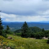 Bill Williams Mountain Trail, Arizona - 545 Reviews, Map | AllTrails