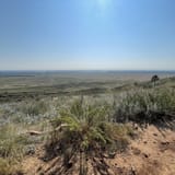 Coyote Ridge Trail, Colorado - 1,770 Reviews, Map | AllTrails