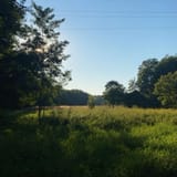 Farmdale Recreation Area Trail, Illinois - 969 Reviews, Map | AllTrails