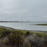 Bayshore Bikeway (Silver Strand) Trail , California - 1,185 Reviews ...