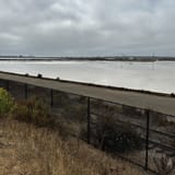 Bayshore Bikeway (Silver Strand) Trail , California - 1,185 Reviews ...