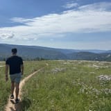 Engineer Mountain Trail, Colorado - 344 Reviews, Map | AllTrails