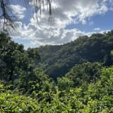 Makiki Valley Loop, Oahu, Hawaii - 5,950 Reviews, Map | AllTrails