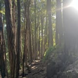 Makiki Valley Loop, Oahu, Hawaii - 5,950 Reviews, Map | AllTrails