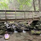 Stevens Glen Trail, Massachusetts - 403 Reviews, Map | AllTrails