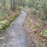 Sunfish Pond via Appalachian Trail, New Jersey - 865 Reviews, Map ...