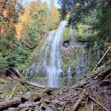 Proxy Falls Loop, Oregon - 1,344 Reviews, Map | AllTrails