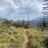 Hawk Mountain Trail, Oregon - 105 Reviews, Map | AllTrails