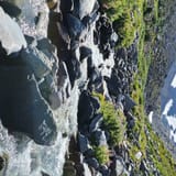 McNeil Point Trail, Oregon - 3,327 Reviews, Map | AllTrails