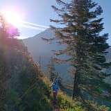 McNeil Point Trail, Oregon - 3,327 Reviews, Map | AllTrails