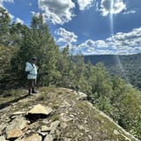 Tioga West Rim Trail, Pennsylvania - 551 Reviews, Map | AllTrails