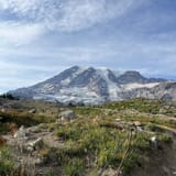 Muir Snowfield Ski Tour, Washington - 1,691 Reviews, Map | AllTrails