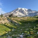 Muir Snowfield Ski Tour, Washington - 1,691 Reviews, Map | AllTrails