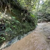 Red Bluff, Mississippi - 446 Reviews, Map | AllTrails