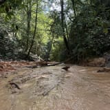 Red Bluff, Mississippi - 446 Reviews, Map | AllTrails