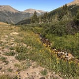 Butler Gulch Trail, Colorado - 3,210 Reviews, Map | AllTrails