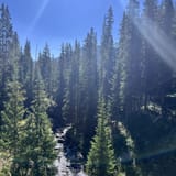 Butler Gulch Trail, Colorado - 3,210 Reviews, Map | AllTrails