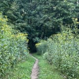 Farmdale Recreation Area Trail, Illinois - 969 Reviews, Map | AllTrails