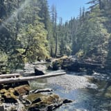 Staircase Rapids Loop, Washington - 3,077 Reviews, Map | AllTrails